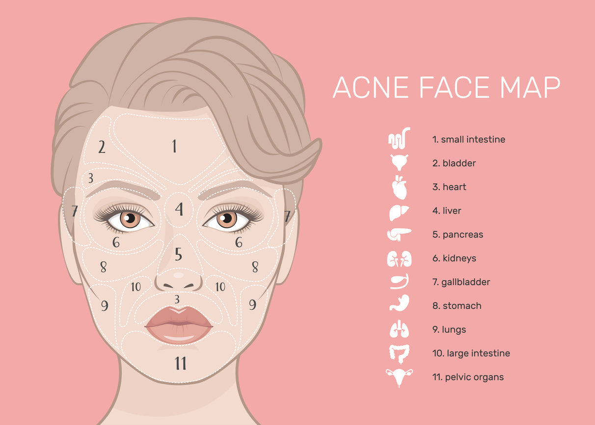 Face Mapping according to TCM: What your face reveals about your healt ...